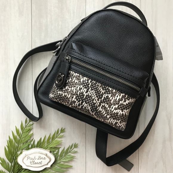 Coach | Bags | Coach Campus Backpack 23 Snakeskin Nwt Minibag | Poshmark